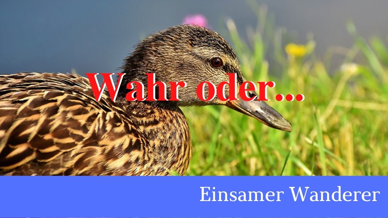 Gewaltsame Zwangsimpfung durch den Staat? Der Fall Inna Zhvanetskaya ...