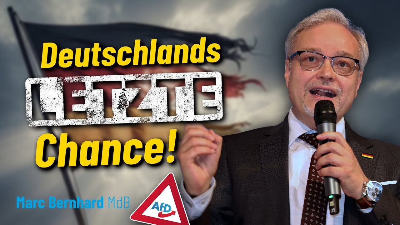 Elon Musk hat recht: AfD oder Untergang | Post | free3